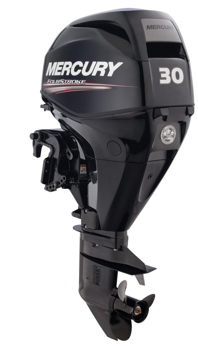 Mercury 30 HP EFI Fourstroke | Southern Fish Marine